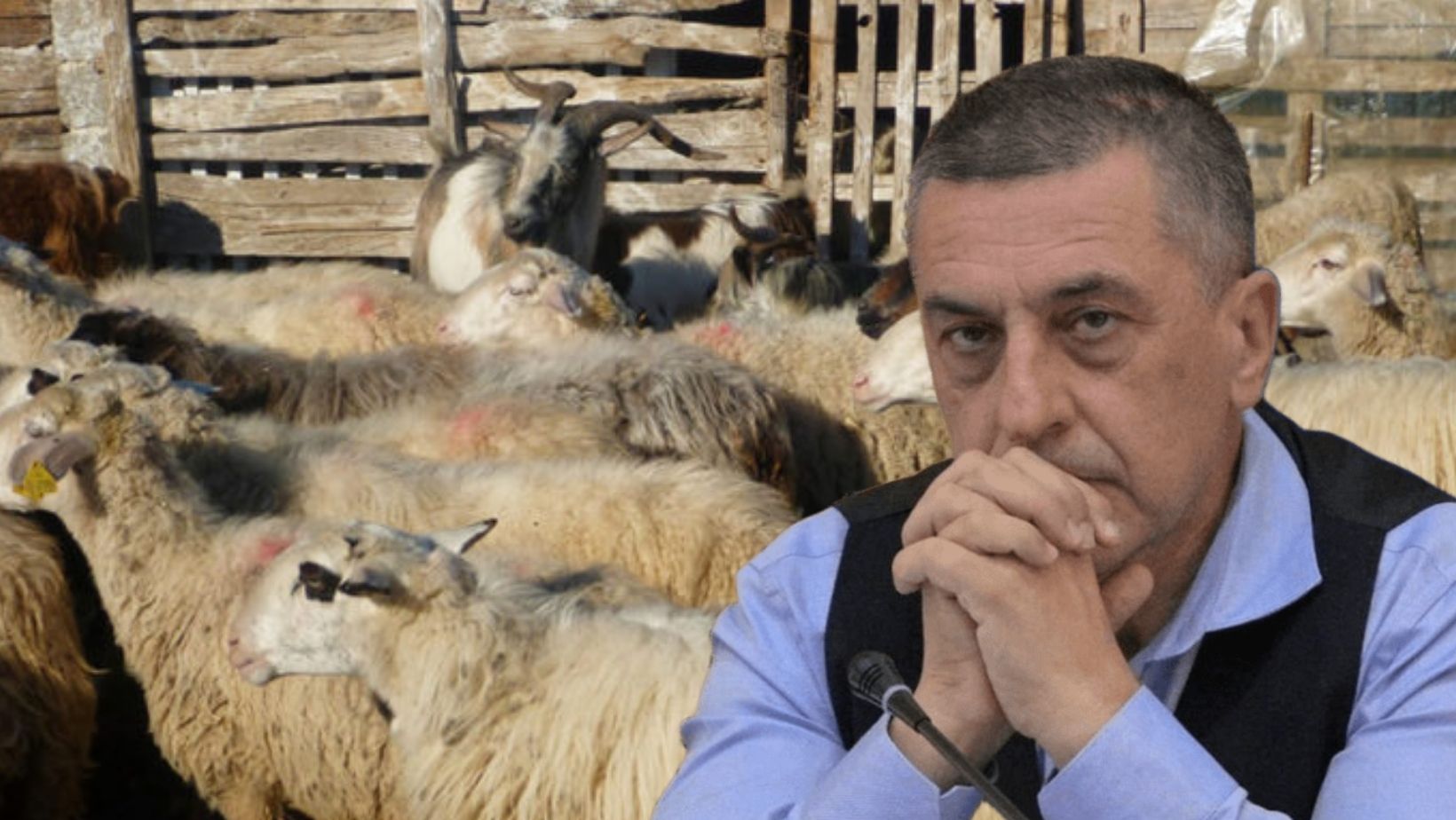 Κουρέτας: «Ή εμβολιάζουμε τώρα, ή δεν θα μείνει πρόβατο ζωντανό»-το ...